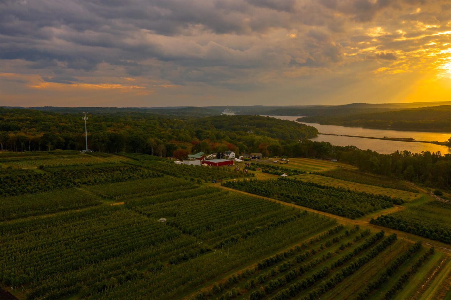 Welcome to Connecticut Wine Country - CT Grown