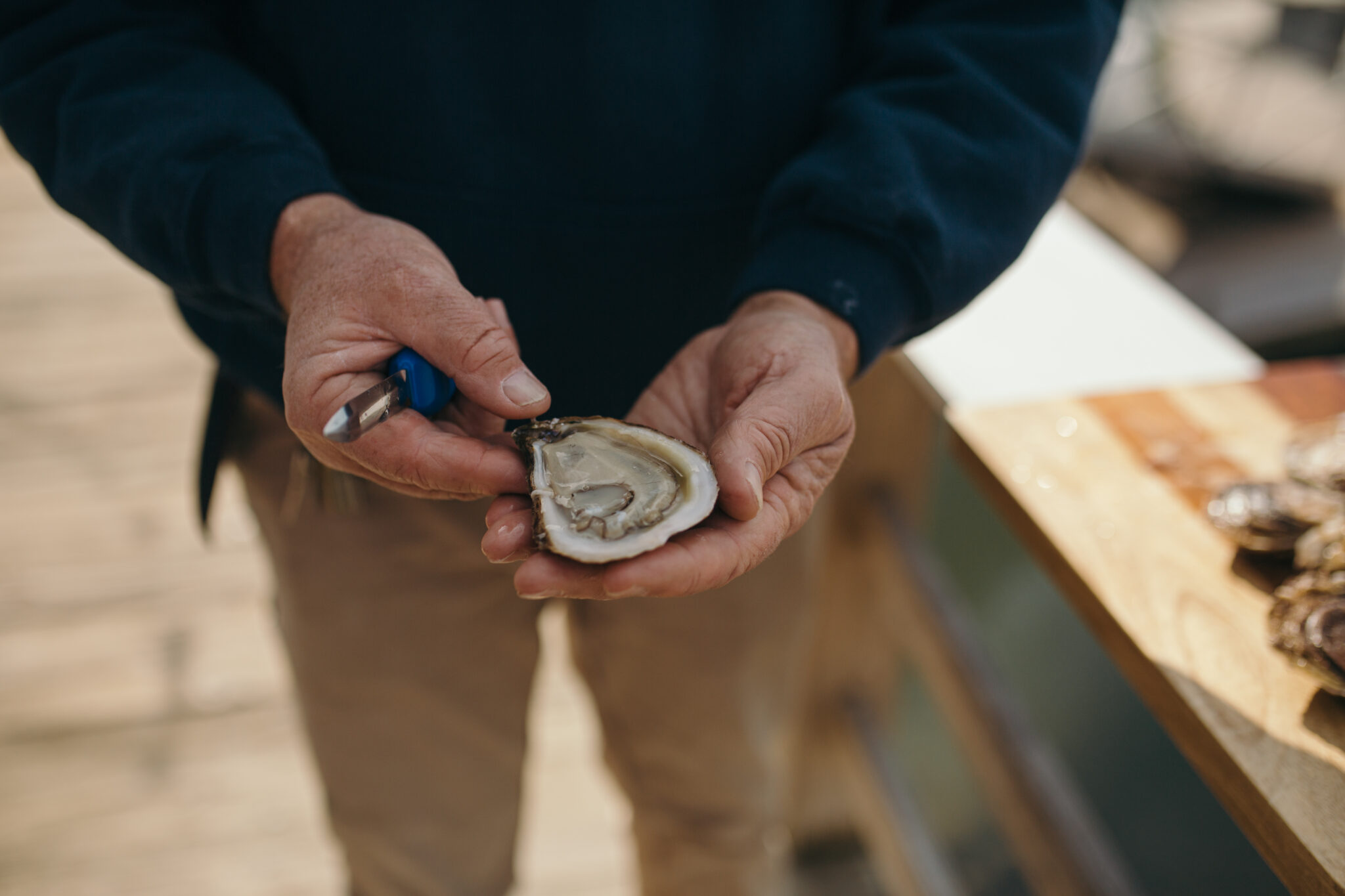 Out of Our Shell - It's National Seafood Month and We're Recognizing CT ...