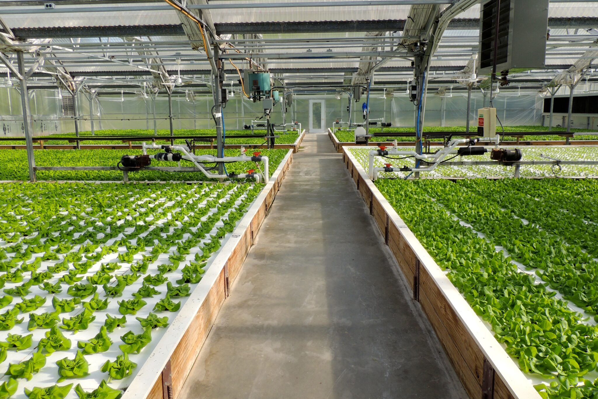 Indoor Farming Series: Find Fresh CT Grown Crops This Winter - CT Grown